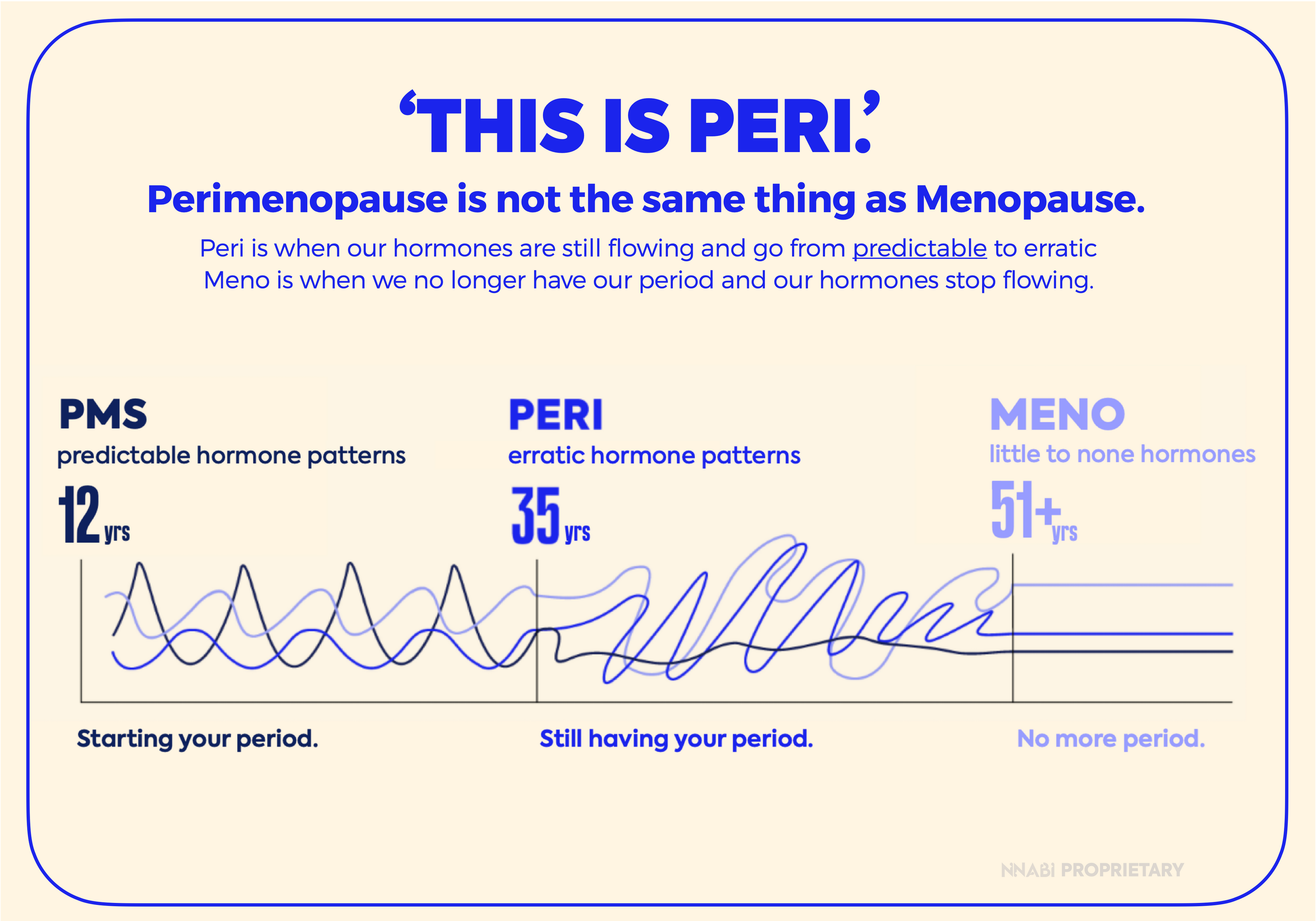 NNABI. The Peri Company